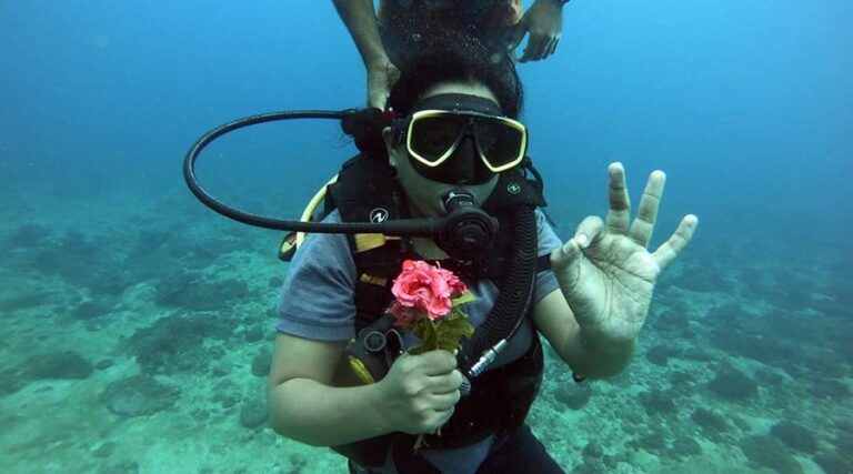 Gallery – Netrani Adventures Suba Diving